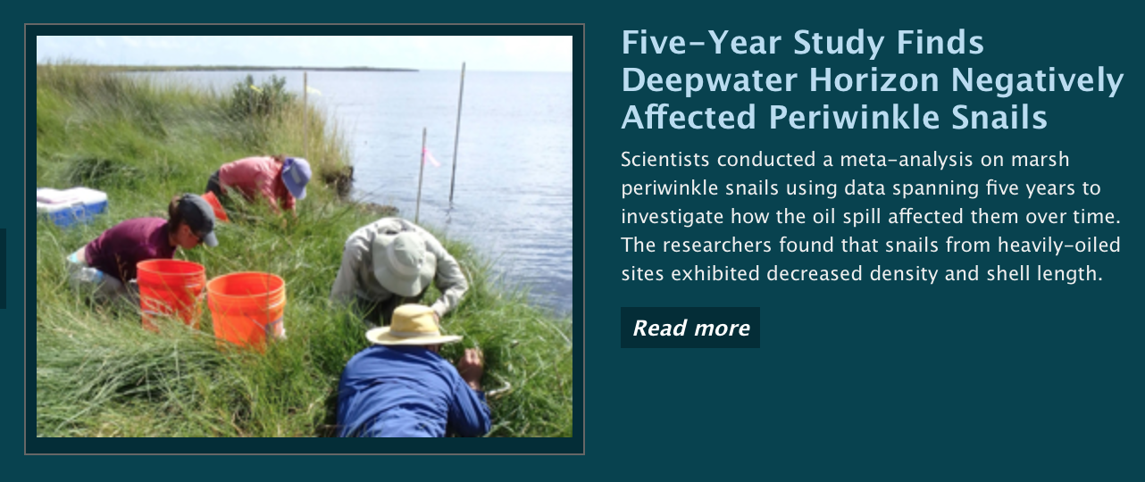 The Gulf of Mexico Research Initiative (GoMRI) features study conducted ...